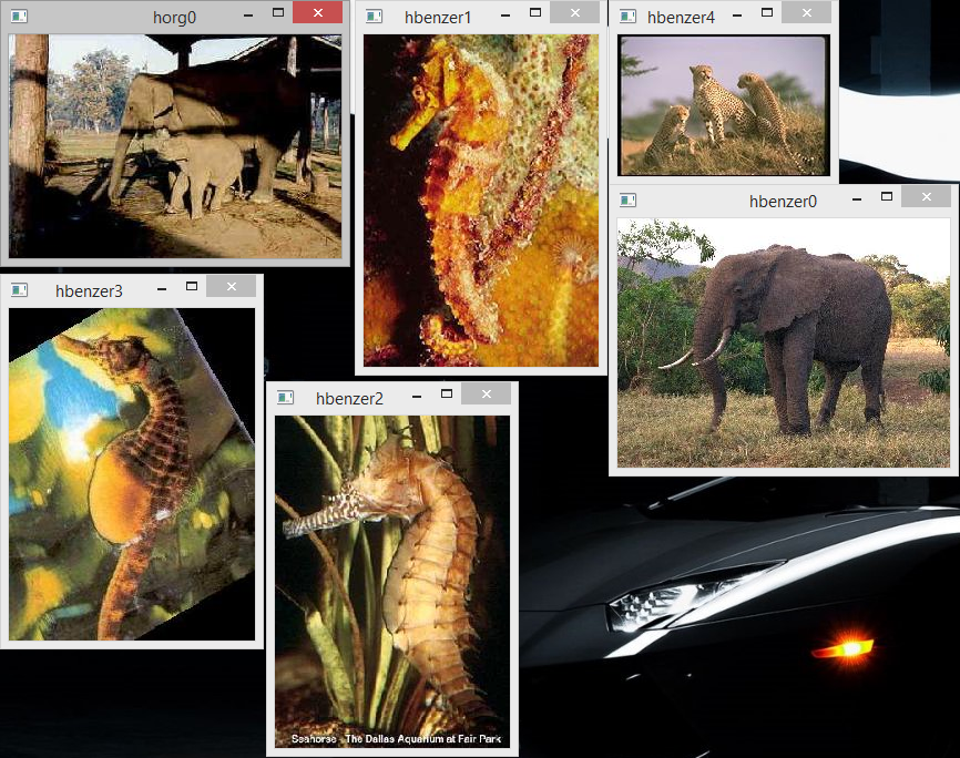 GitHub - gulsoy83/Content-Based-Image-Retrieval