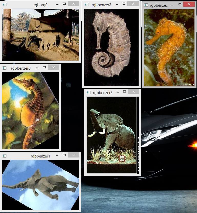 GitHub - gulsoy83/Content-Based-Image-Retrieval