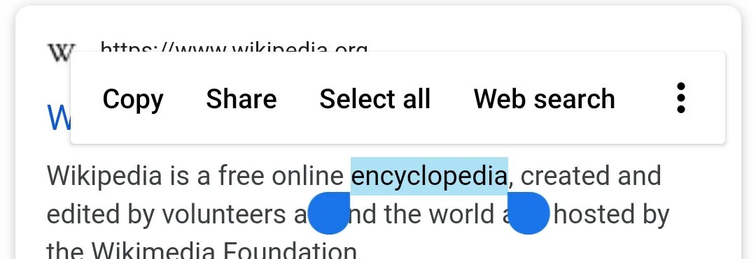 Add additional options in edit menu (such as 'Look Up'/'Search Web' and ...