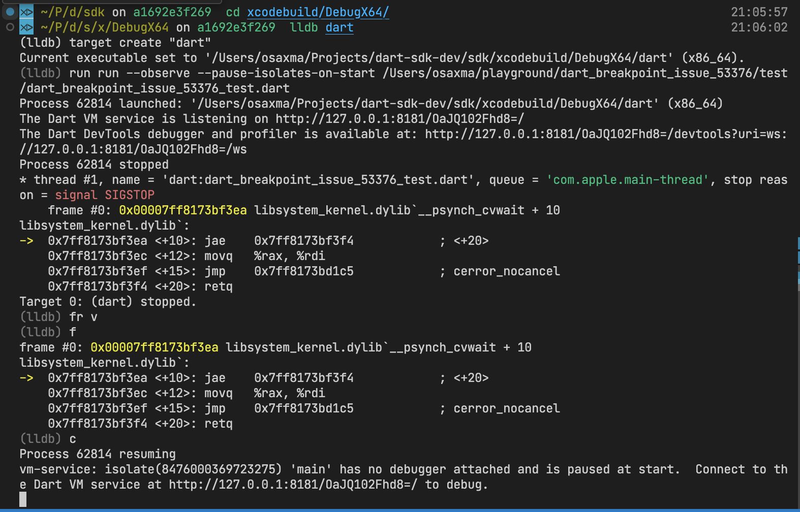 SIGHUP exception in Code LLDB only · Issue #1000 · vadimcn/codelldb · GitHub