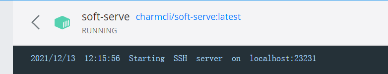 Config does not honor host and port settings · Issue #38 · charmbracelet/soft-serve · GitHub