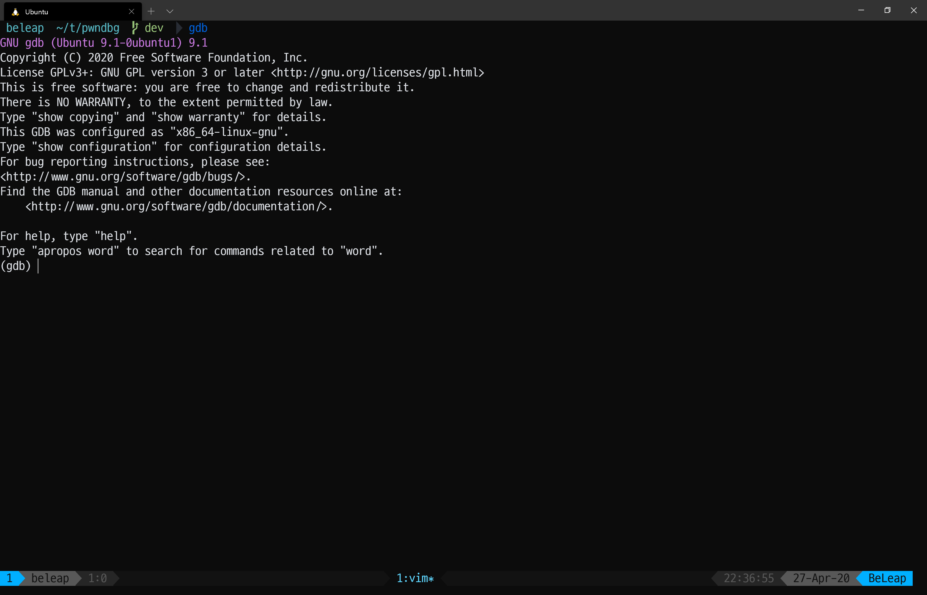 Fail to run setup.sh in Ubuntu 20.04 · Issue #745 · pwndbg/pwndbg · GitHub