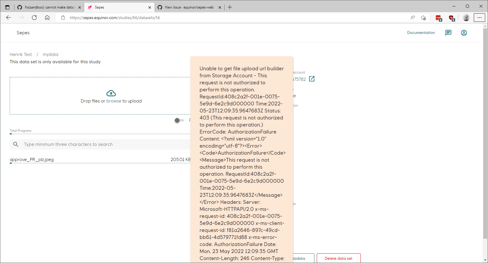 fix(dataset): cannot upload files to storage account in north europe · Issue #1637 · equinor ...