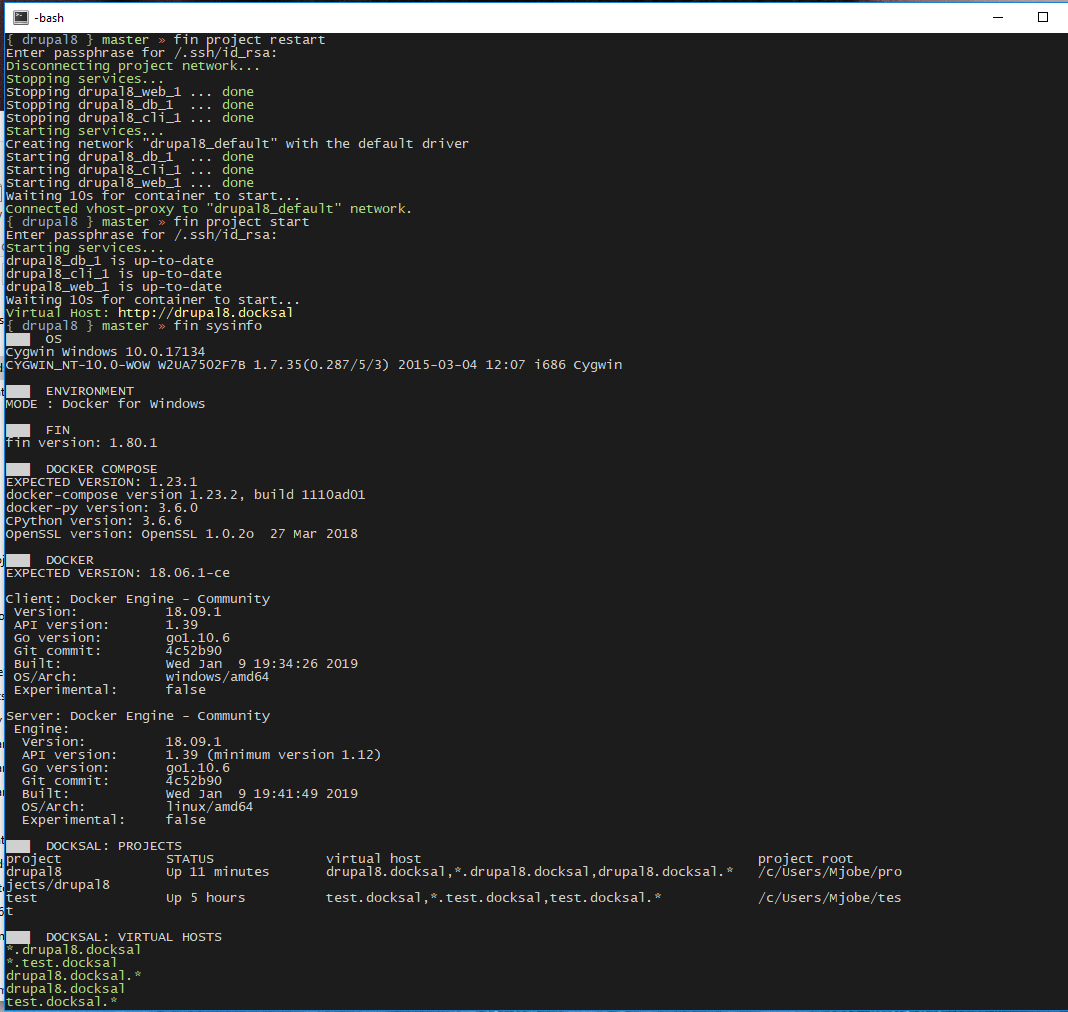 This site can’t be reached drupal8.docksal’s server IP address could ...