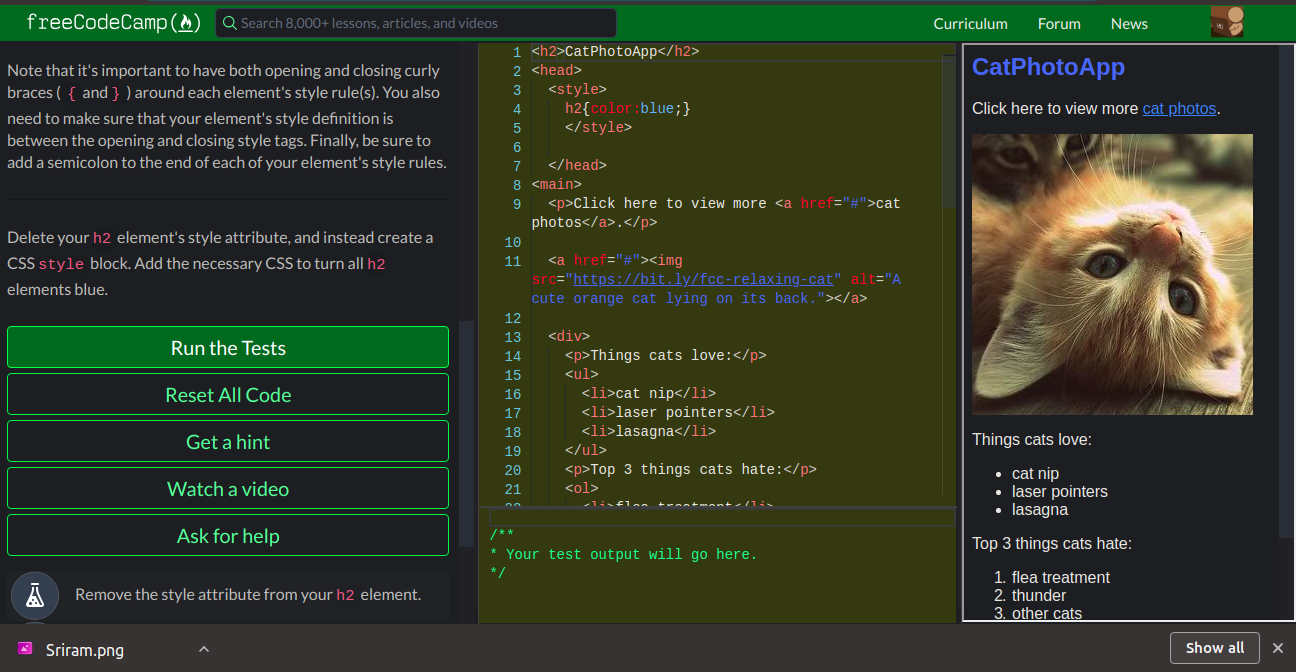 Not detecting colour in code · Issue #35012 · freeCodeCamp/freeCodeCamp · GitHub