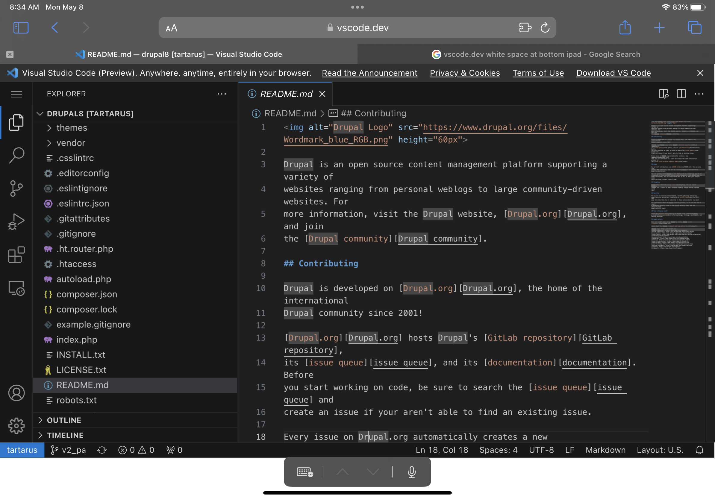 Blank white space below status bar on iPad OS browsers · Issue #181822 · microsoft/vscode · GitHub