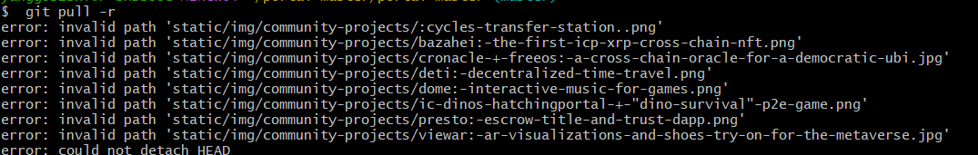 `git Clone` Failed · Issue 1130 · Dfinity Portal · Github