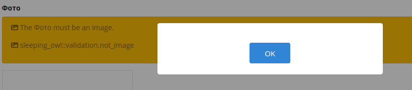 AdminFormElement::image Validation · Issue #1151 · LaravelRUS/SleepingOwlAdmin · GitHub