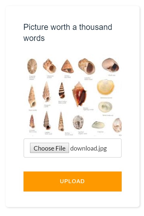 PhotoPicker needs more documentation · Issue #648 · aws-amplify/docs · GitHub