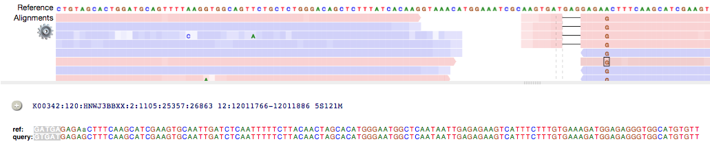 Freebayes calling the same variant twice · Issue #279 · freebayes/freebayes · GitHub