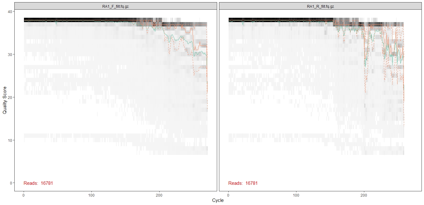 Obtain huge numbers of ASVs after Merge paired reads · Issue #921 · benjjneb/dada2 · GitHub