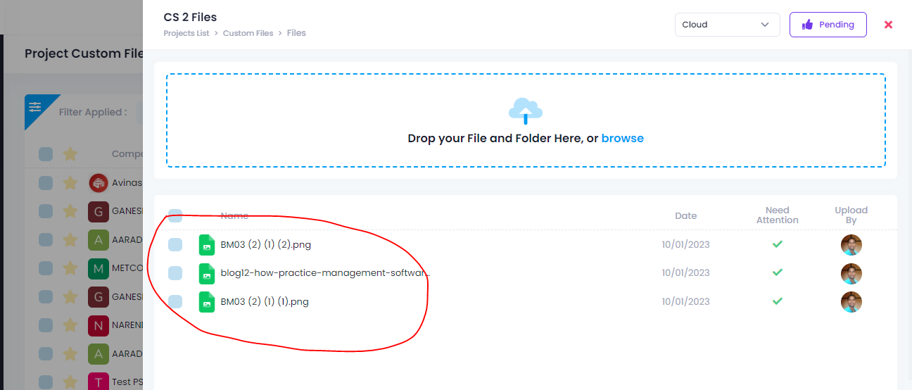 Project custom file page - We can not see multiple successful uploaded ...