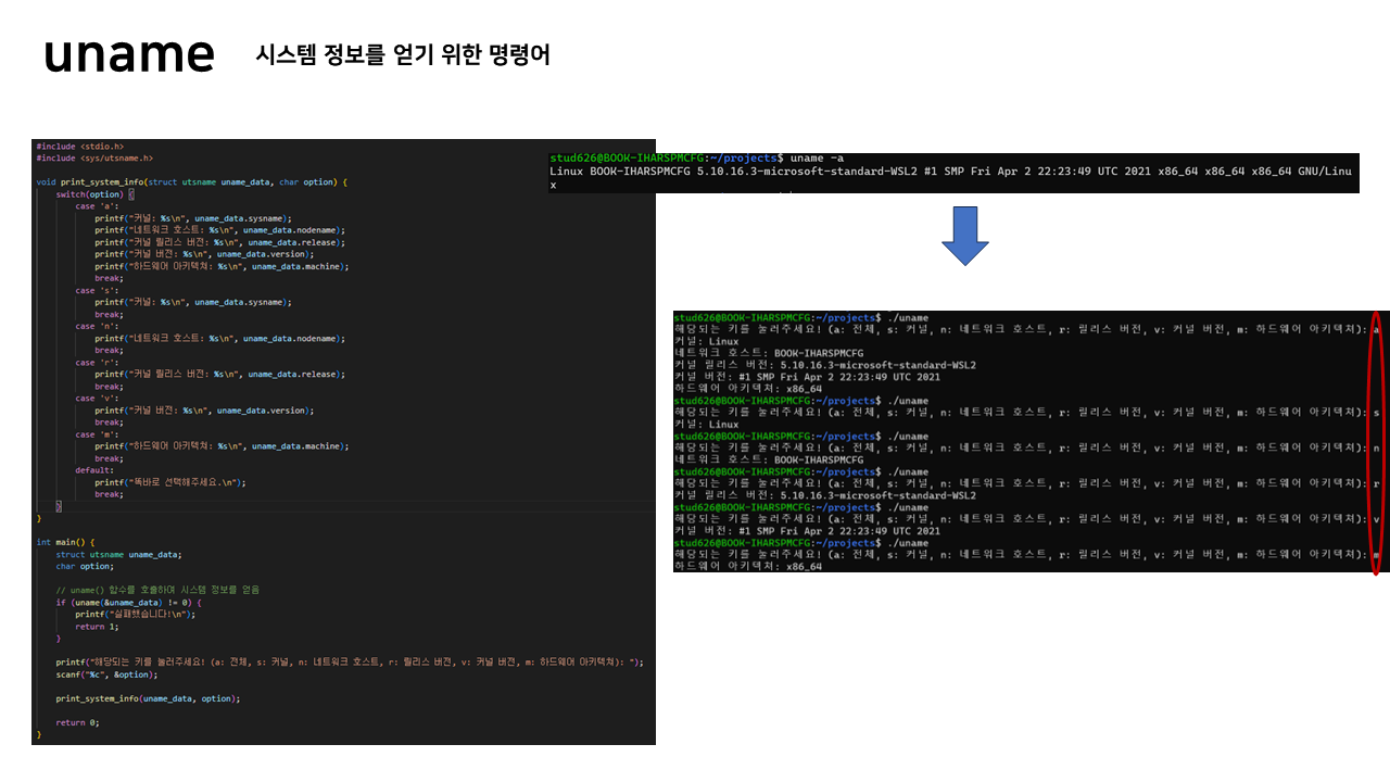GitHub - Mr-Forger/SysP_Project