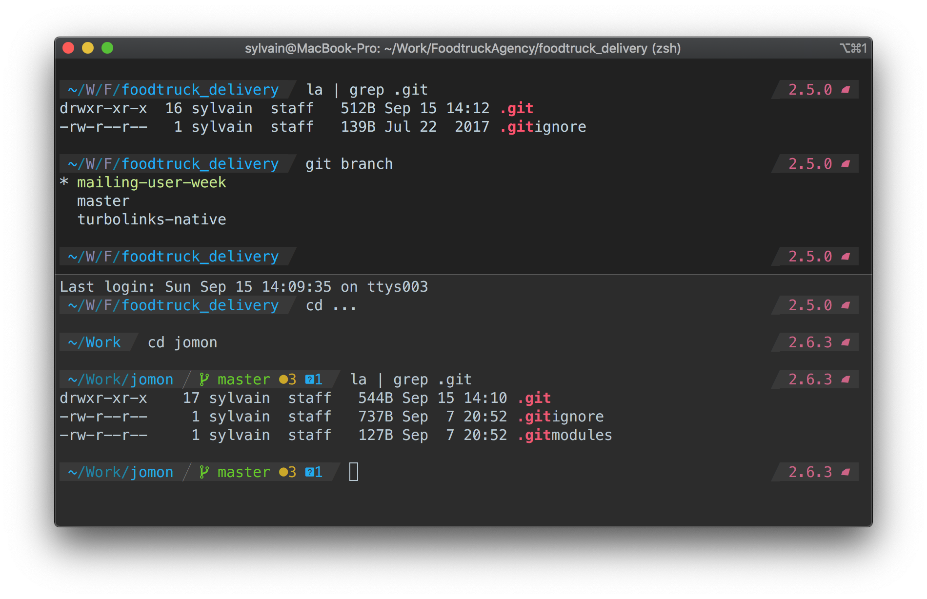 Not displaying git status on some repo · Issue #216 · romkatv/powerlevel10k · GitHub