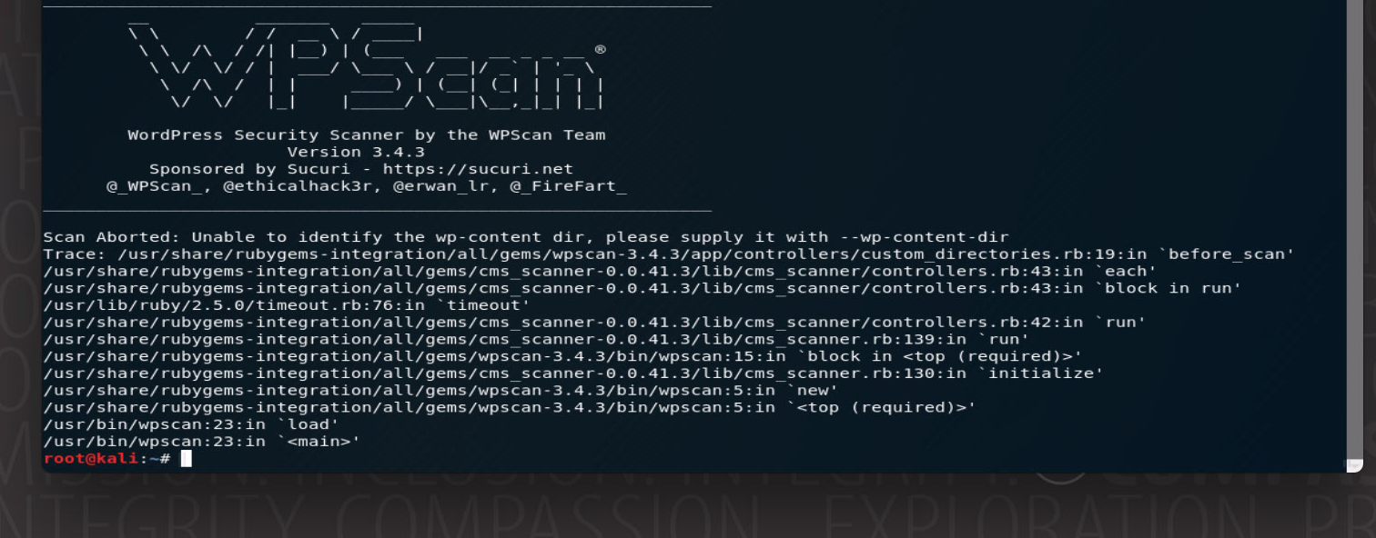 wp scan aborting - Unable to identify the wp-content dir · Issue #1379 · wpscanteam/wpscan · GitHub
