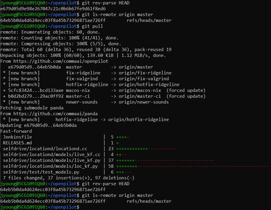 Ensure git repo isn't touched outside overlay · Issue #23064 · commaai/openpilot · GitHub