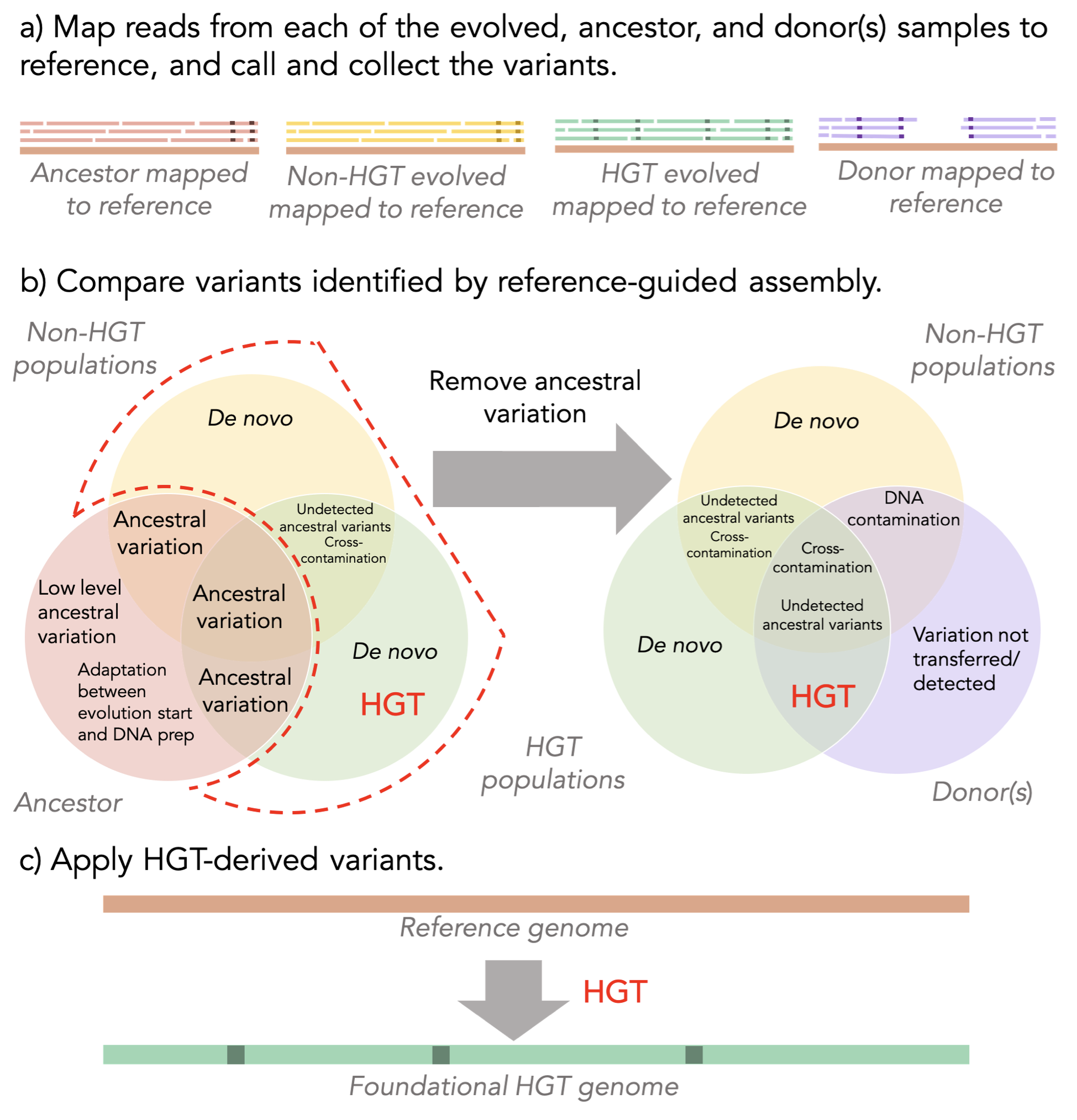 GitHub - woodlaur189/HGT_identification_in_evol_exps: Scripts for HGT identification workflow.