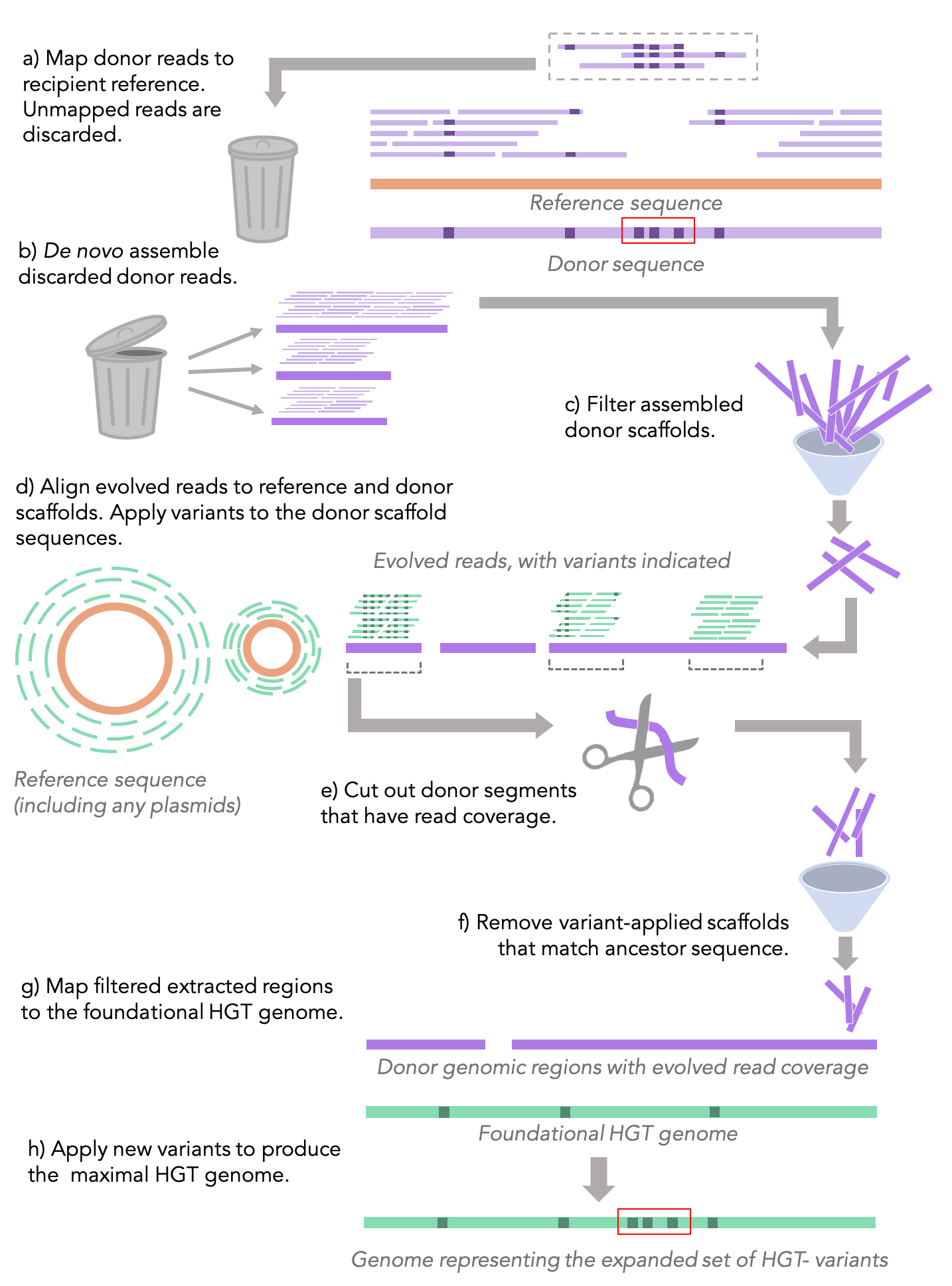 GitHub - woodlaur189/HGT_identification_in_evol_exps: Scripts for HGT identification workflow.
