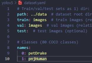 Help please, I lose my previous training · Issue #9663 · ultralytics/yolov5 · GitHub