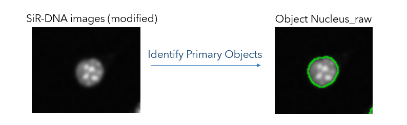 Ktr Analysis 3 Cellprofiler Parameters Md At Main · Cmulas Ktr