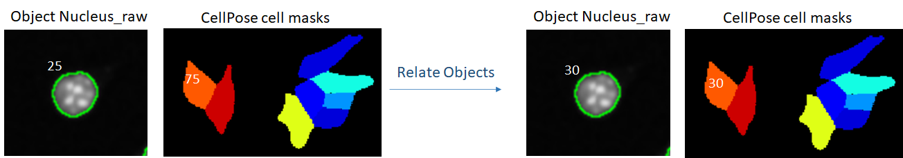 Ktr Analysis 3 Cellprofiler Parameters Md At Main · Cmulas Ktr