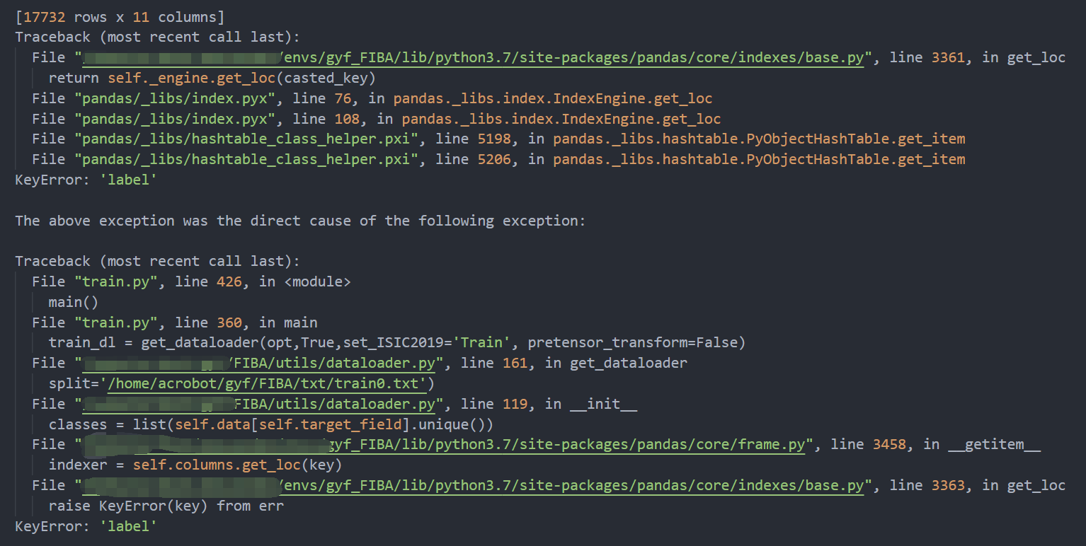 error when run train.py · Issue #3 · HazardFY/FIBA · GitHub