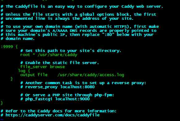 Caddy 2.43 log is not working? · Issue #4250 · caddyserver/caddy · GitHub