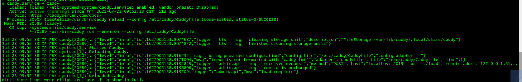 Caddy 2.43 log is not working? · Issue #4250 · caddyserver/caddy · GitHub