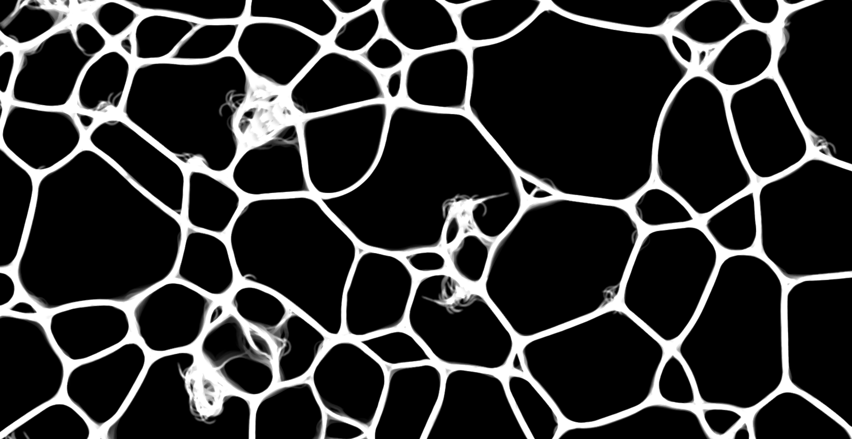 GitHub - nemutas/physarum-sim-with-afterimage