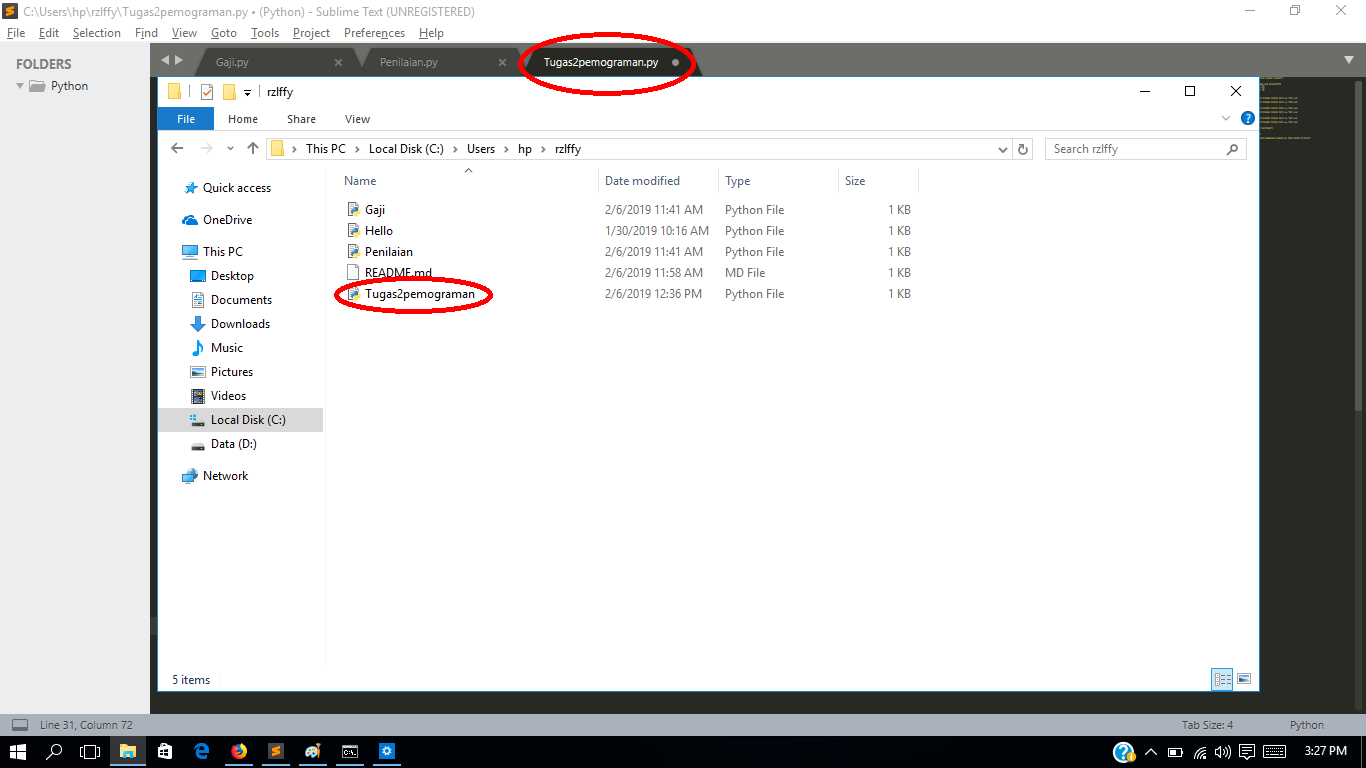 GitHub - rzlffy/labpy1