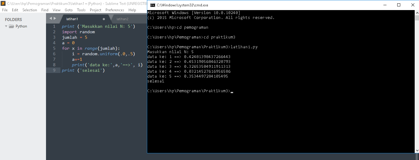 GitHub - rzlffy/labpy03