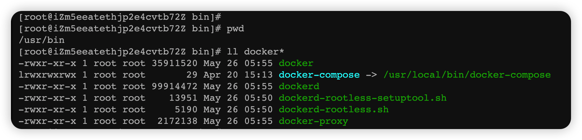 [BUG]can not install openresty with error massage docker can not started. · Issue #1198 · 1Panel ...