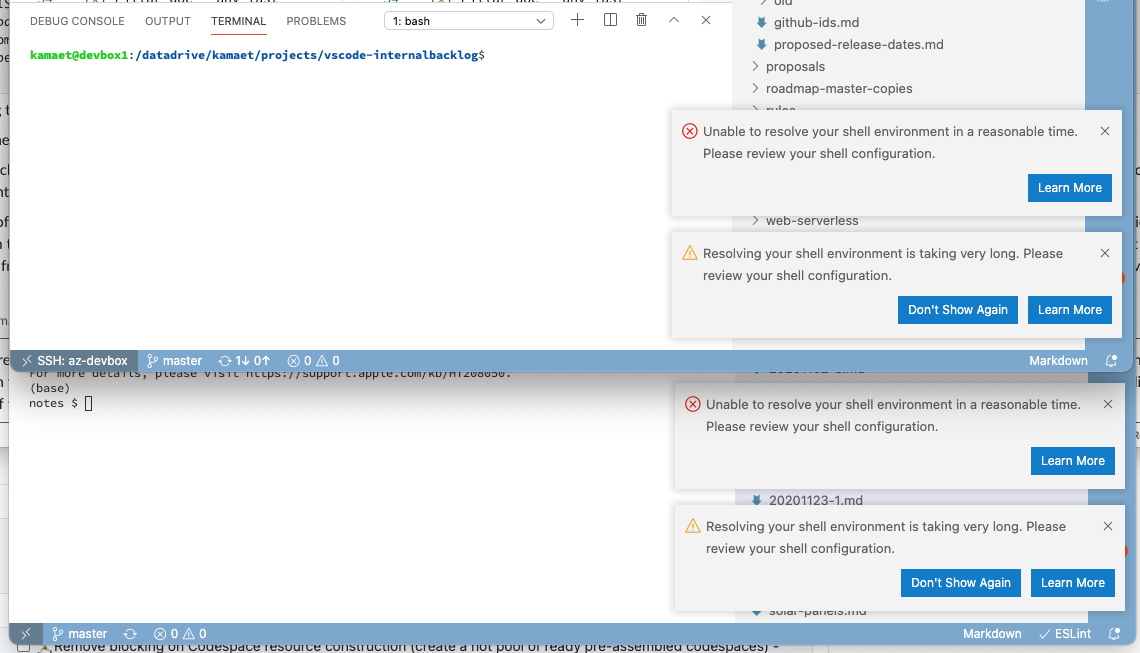 Environment Resolution · Issue #111246 · microsoft/vscode · GitHub