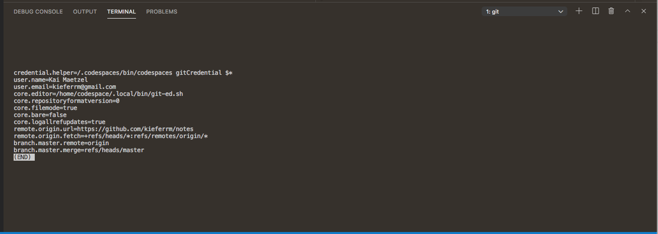Redraw issues in the terminal · Issue #110242 · microsoft/vscode · GitHub