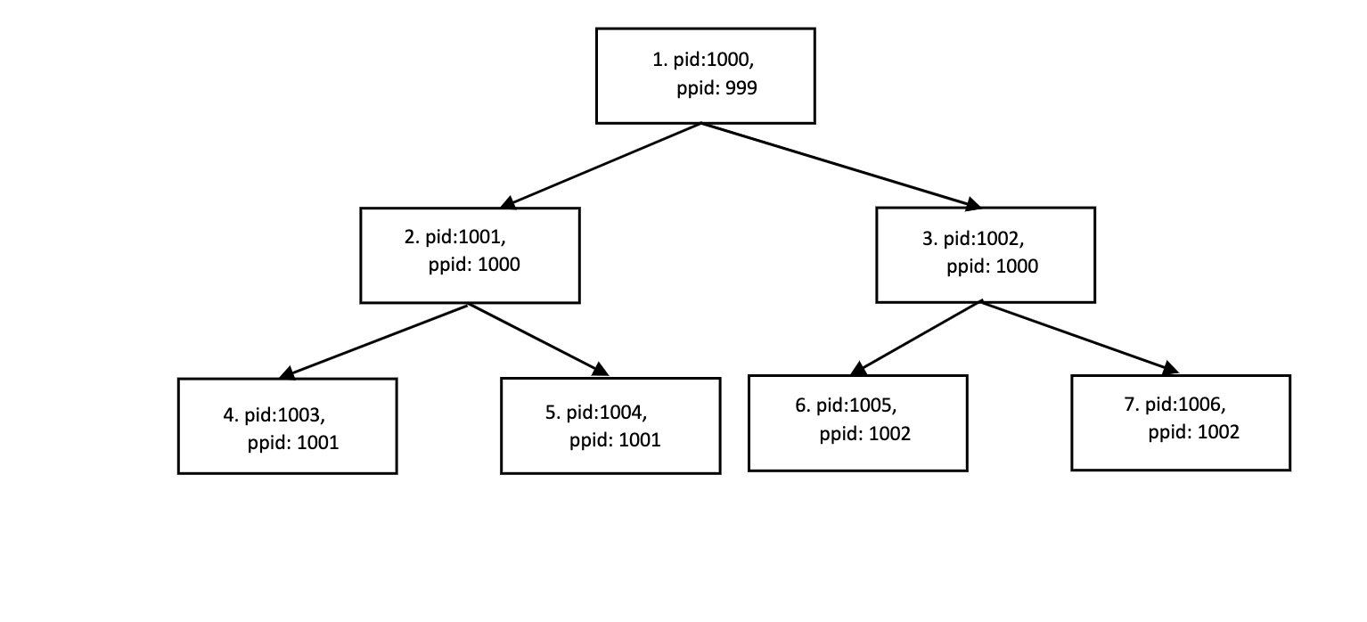 GitHub - aliosmanerkan/Binary-Process-Tree