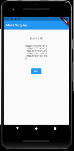 GitHub - Gamzesavcioglu/Mobile-Queries-App