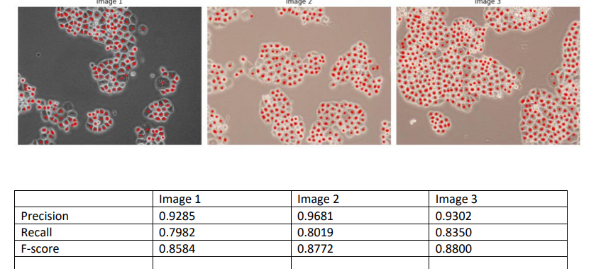 GitHub Fadimetokmak comp448 medical image processing COMP448 Medical Image Processing 