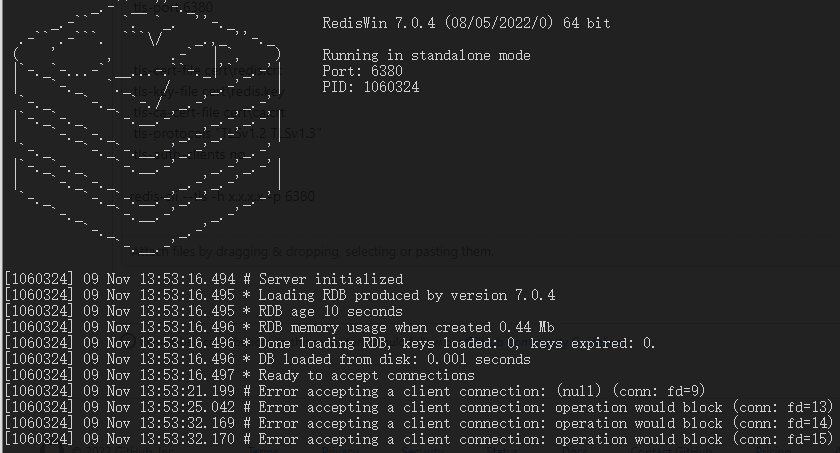 Problem Setting Up The Server On Ssl · Issue 25 · Zkteco Home Redis Windows · Github