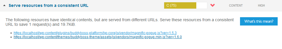 The JS script magnific-popup.js is loaded twice (platform + theme ...