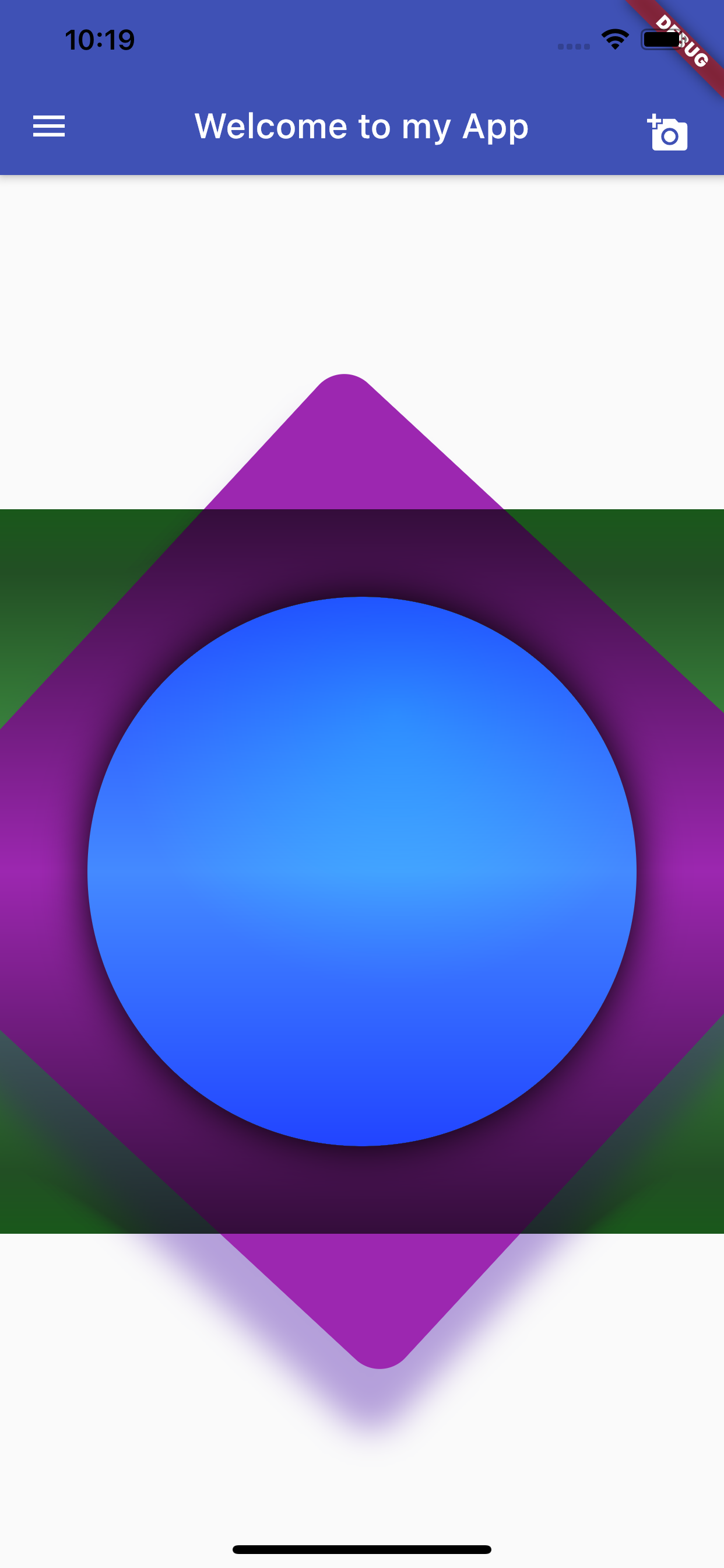 GitHub - VullnetJ/Display_Images_in_Flutter