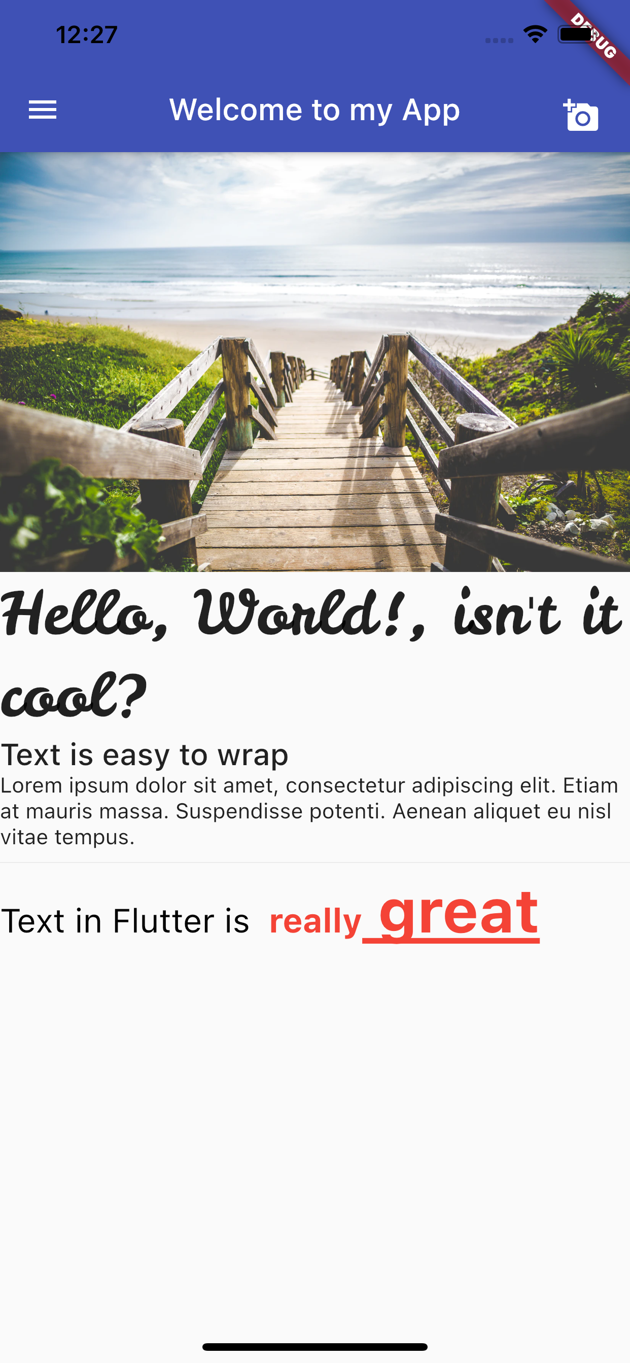 GitHub - VullnetJ/Display_Images_in_Flutter