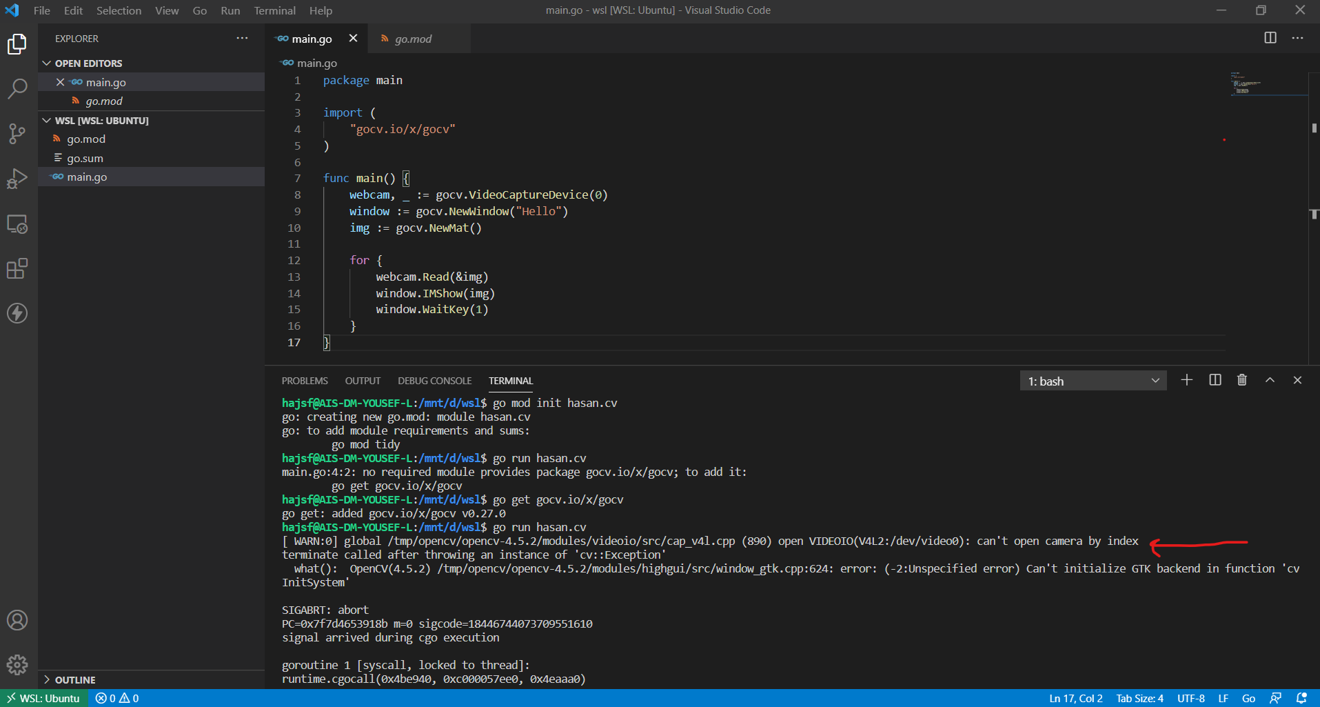 Install at WSL 2 Win 10 · Issue #839 · hybridgroup/gocv · GitHub