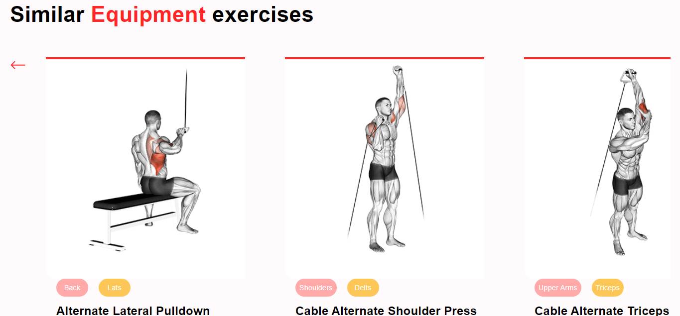 Github Codepantha Fitness App A Fitness App That Shows You Exercises To Build Core Muscles