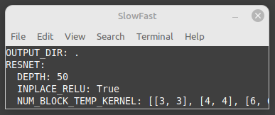 Webcam error · Issue #534 · facebookresearch/SlowFast · GitHub