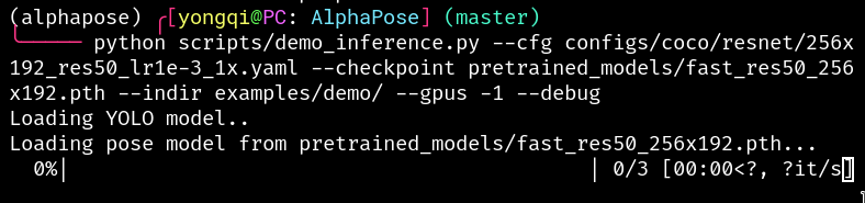 Demo inference freezes when trying to load pose model · Issue #708 · MVIG-SJTU/AlphaPose · GitHub