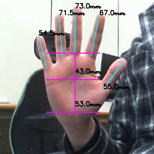 GitHub - junsoofeb/hand_size_prediction: 카메라를 이용한 손가락 길이 측정