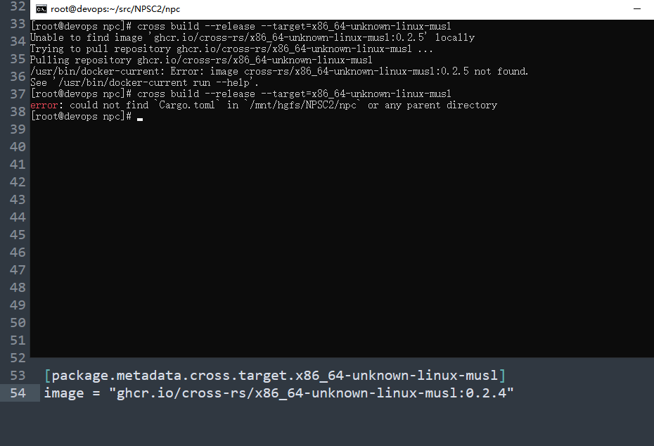 image 不能指定标签 / compilation issue when specifying image · Issue #1219 ...