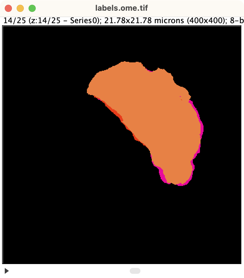 Labeled Image Export Doesnt Work As Expected For Z Stacks · Issue