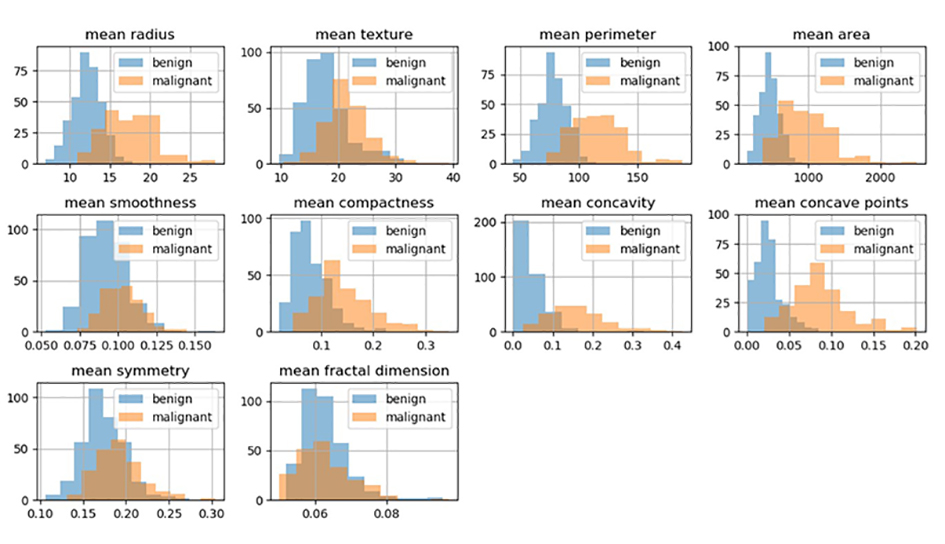 GitHub - nastazya/Breast-cancer-Classification-project: Loading ...