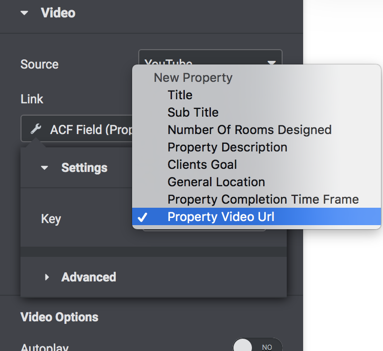 ACF group fields are not showing in the dynamic fields. · Issue #9571 · elementor/elementor · GitHub